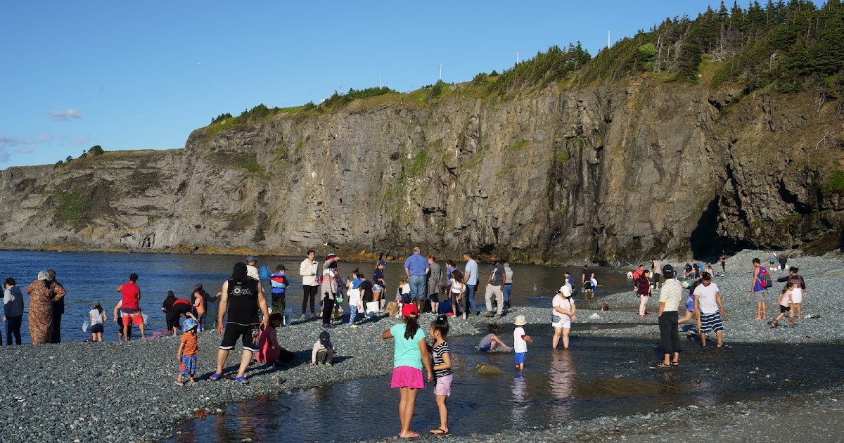 Sci/Why: "The Capelin are Rolling"