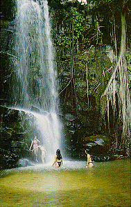 .TIANGUÁ EM FOCO: DIA 19 DE AGOSTO É O DIA DA FOTOGRAFIA (veja algumas ...
