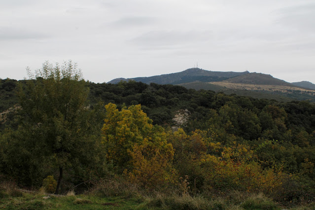 La Plaza y el árbol en El Ordial