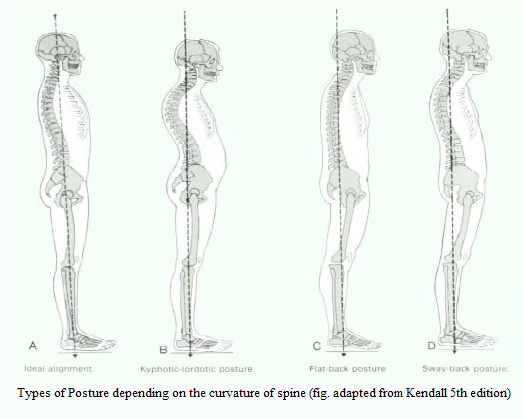 Posture | An Overview