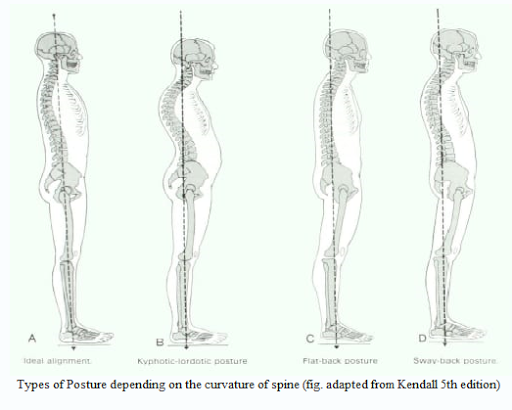 Posture | An Overview