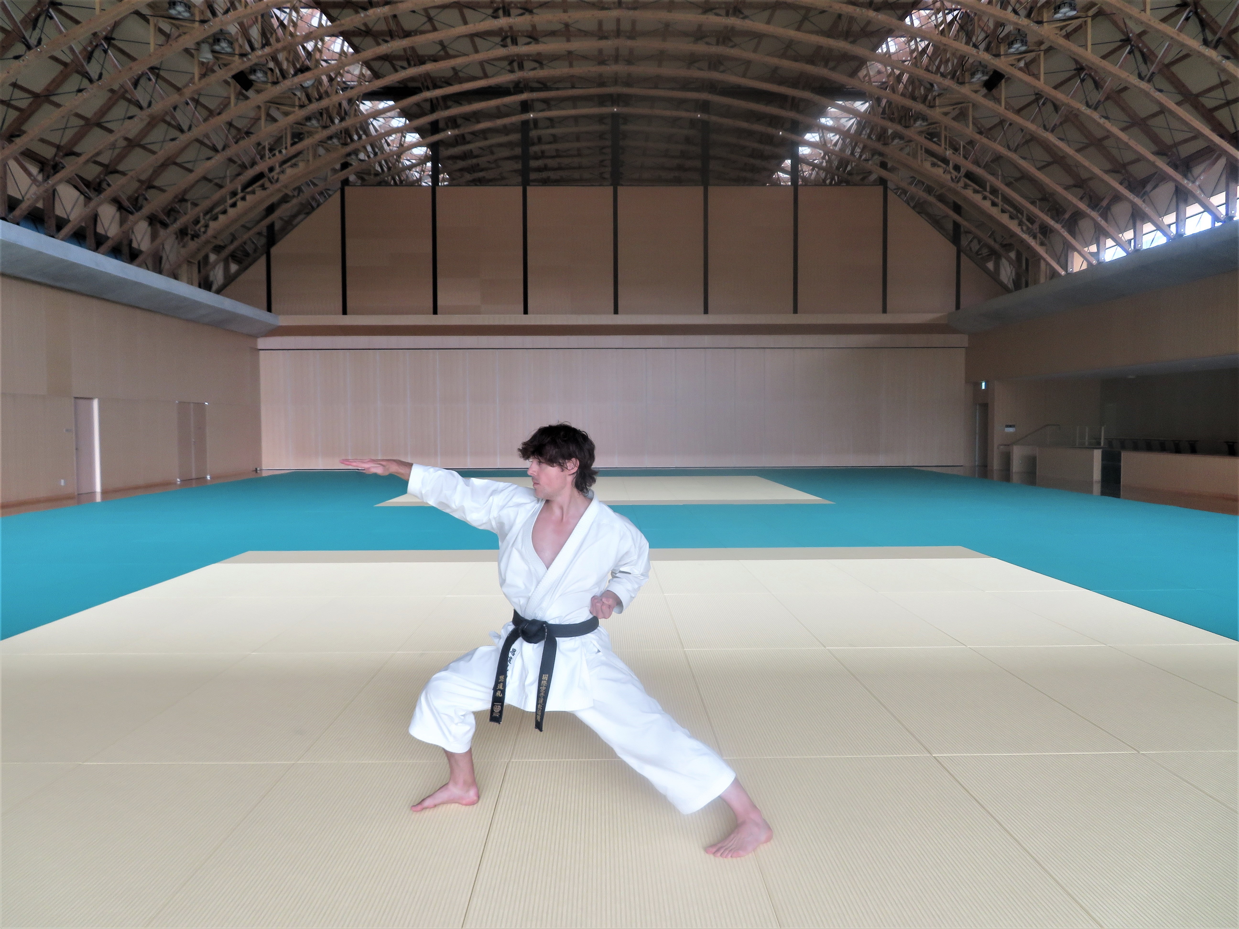 André Bertel's Karate-Do: 順路 (PART 2): Deeper Aspects of the Junro kata