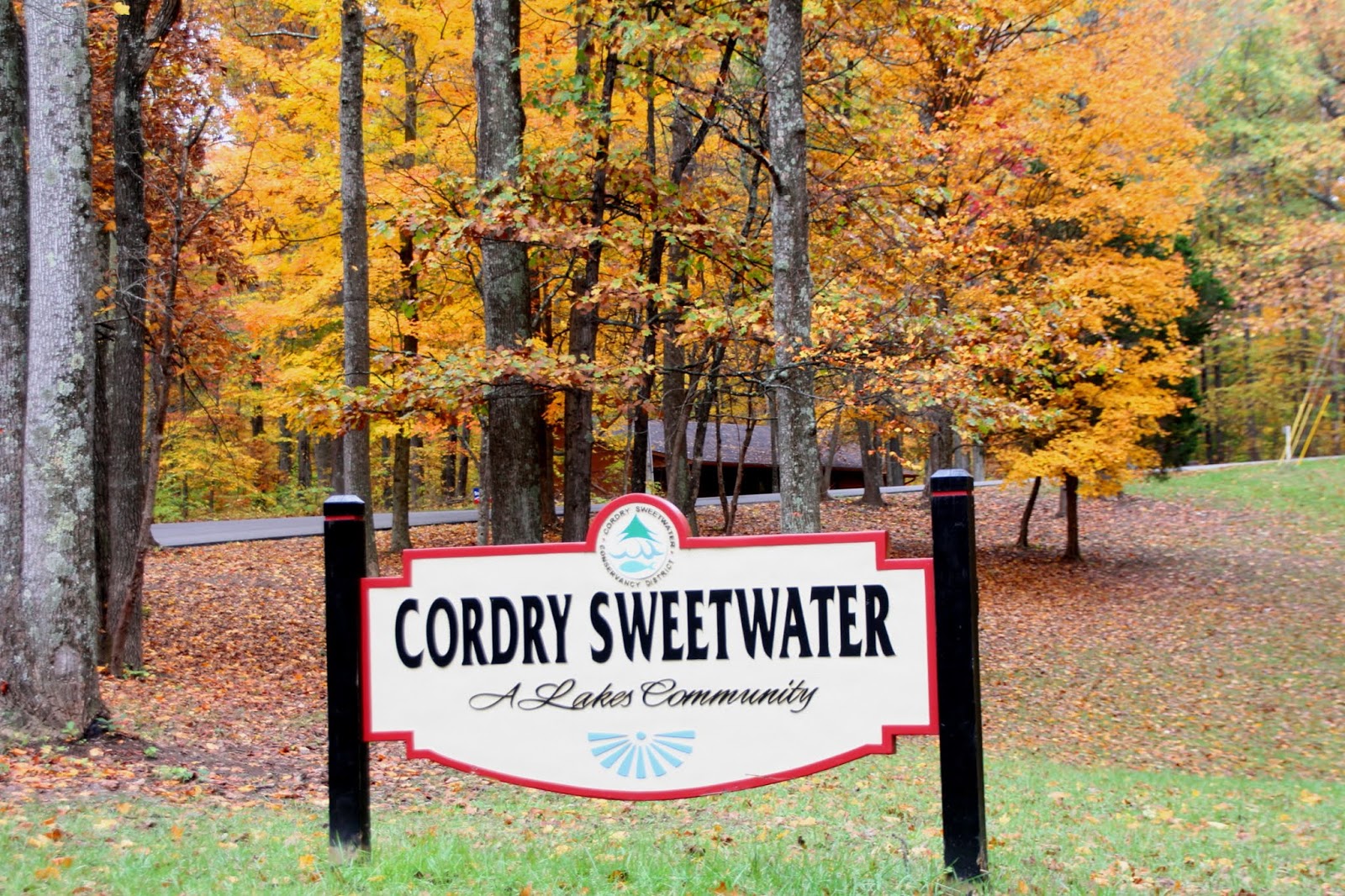 Cordry-Sweetwater News: 2019