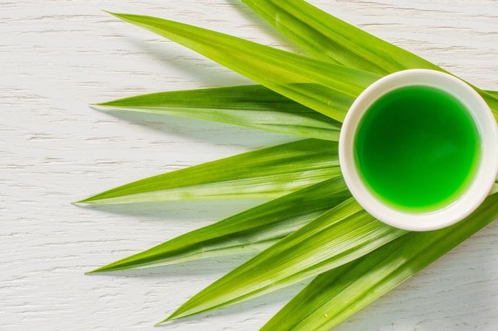 36+ Kandungan Manfaat Daun Pandan dan Khasiat untuk Kesehatan Tubuh ...