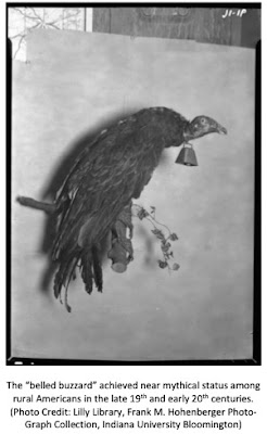 Texas Cryptid Hunter