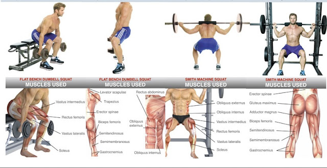 Exercises To Build Leg Muscles Effectively Bodydulding Exercises To Build Leg Muscles Effectively Bodydulding