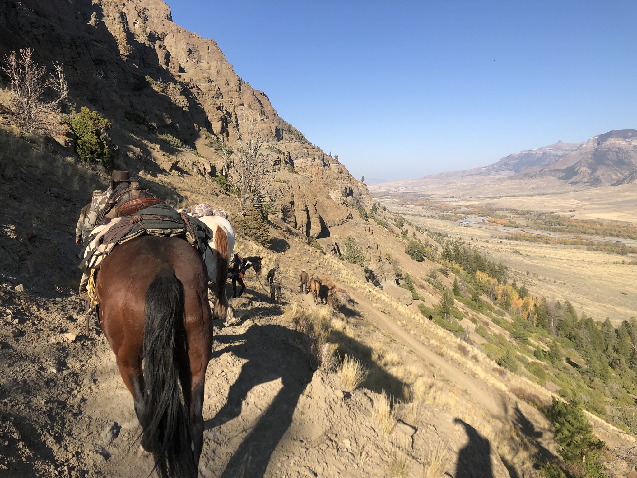 Laurel Ridge Farm: Thorofare Elk Hunt - The Ride In and Out