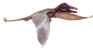 Reptossaurus: PREONDACTYLUS