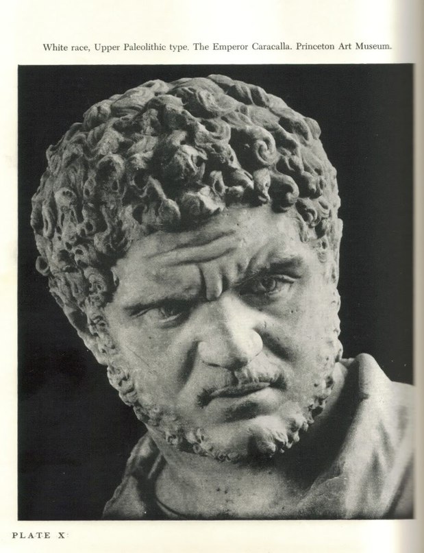 Расология, Антропология, Генетика : Carleton S. Coon, "The Story of Man ...