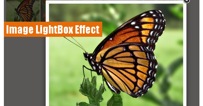 Image Lightbox Effect with jQuery