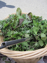 black kettle farm: The Farm