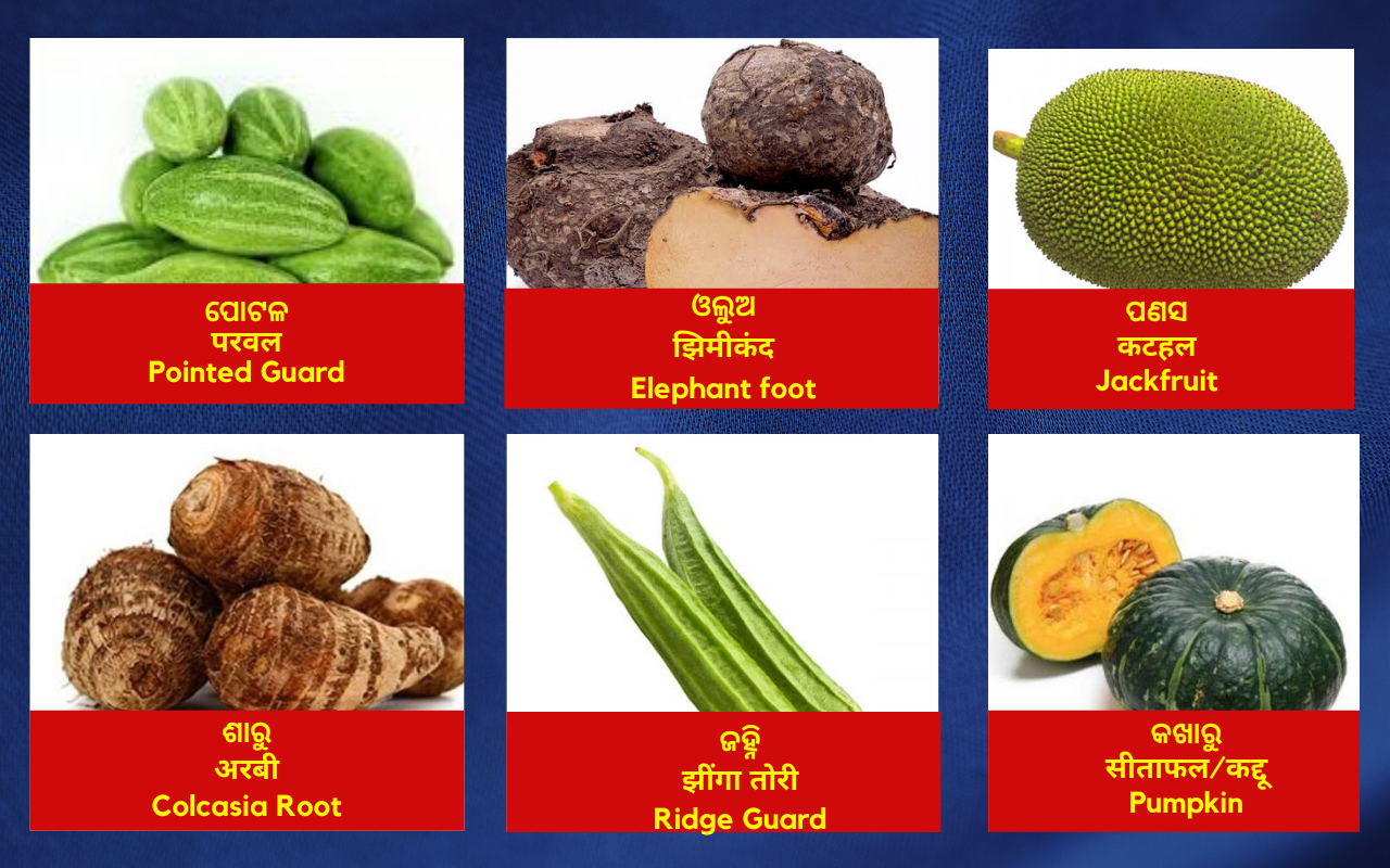 100 Vegetable Name Odia English Hindi Translate Vegetable Names Odia