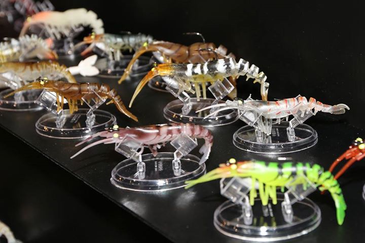 Tackle World Tully: ZEREK LIVE CHERABIN