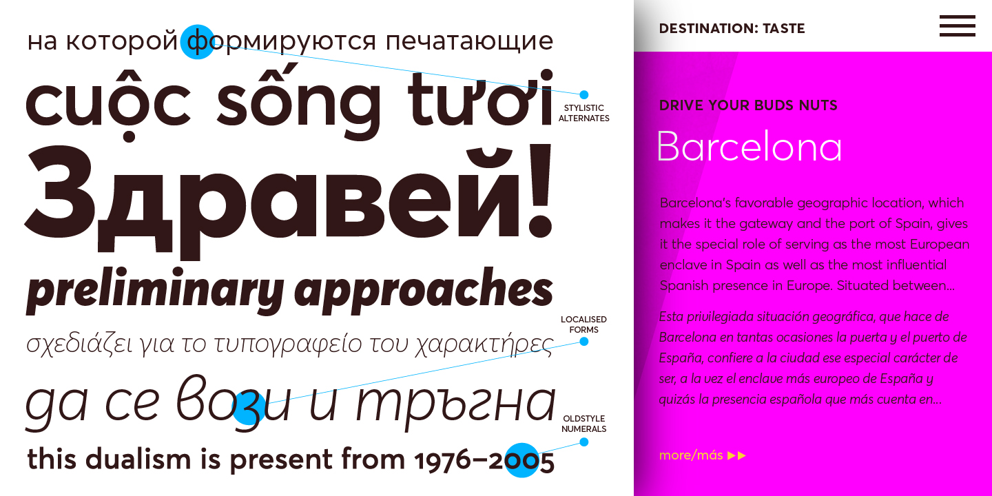 Averta Font Family - 64 Font Full [Download Now]