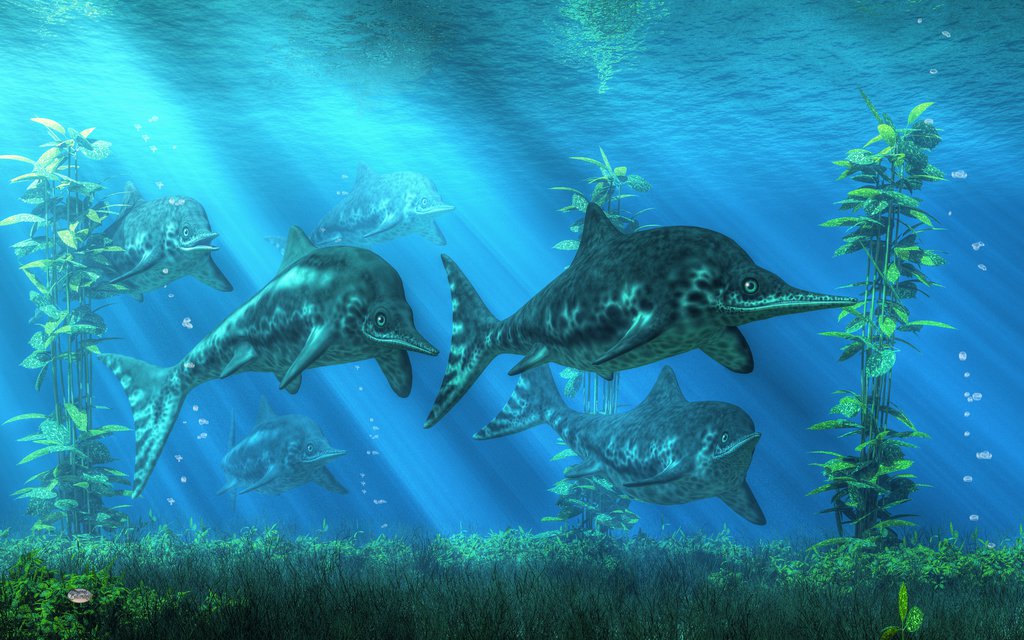 a mesozoic field guide: The Ichthyosaurs