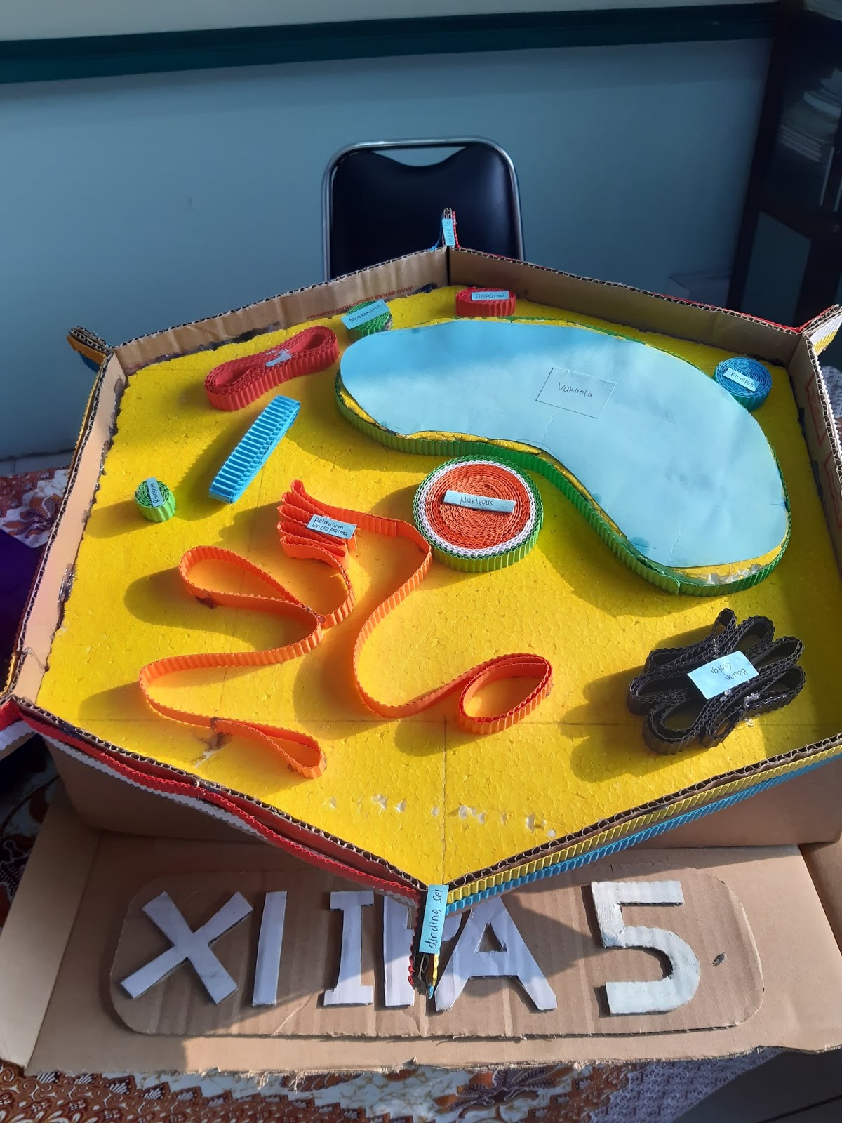 Gambar Sel Tumbuhan Lengkap: Alat Peraga Sel Tumbuhan