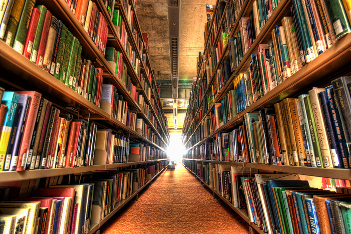 DEFINITION OF THE LIBRARY definition-of-the-library