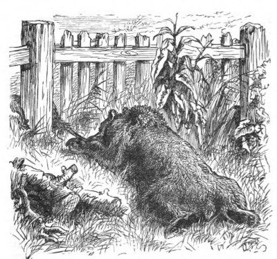 BRER RABBIT: TALES of a TRICKSTER: C027. Why Possum Has No Hair on His Tail