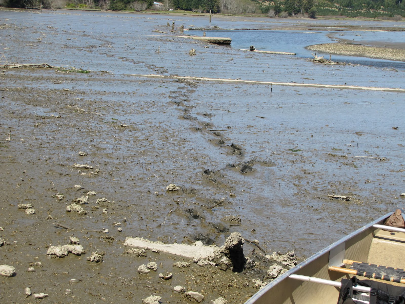 Flitzy Phoebie: April 2011