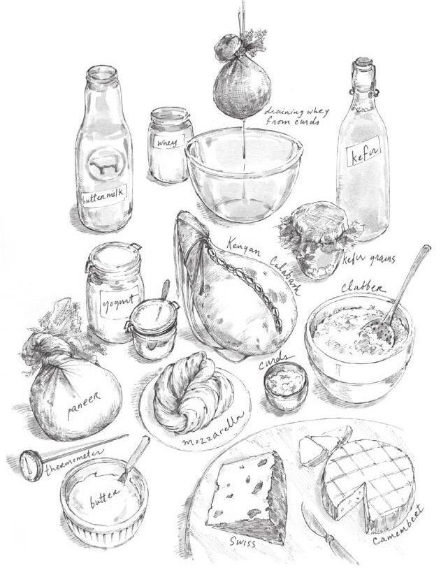 Fomenting Ferment with Sandor Katz - resilience