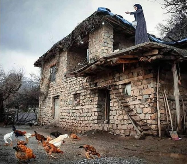 The traditional kurdish home in the rural areas | Kurdish Studies Review