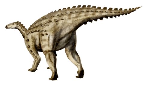Paleoexhibit: Scelidosaurus harrisoni, a basal thyreophoran from ...