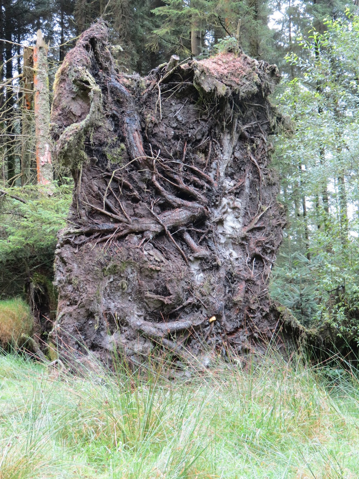 Camping Adventures: Return to Hafod Hall - Llyn Brenig Awaits!