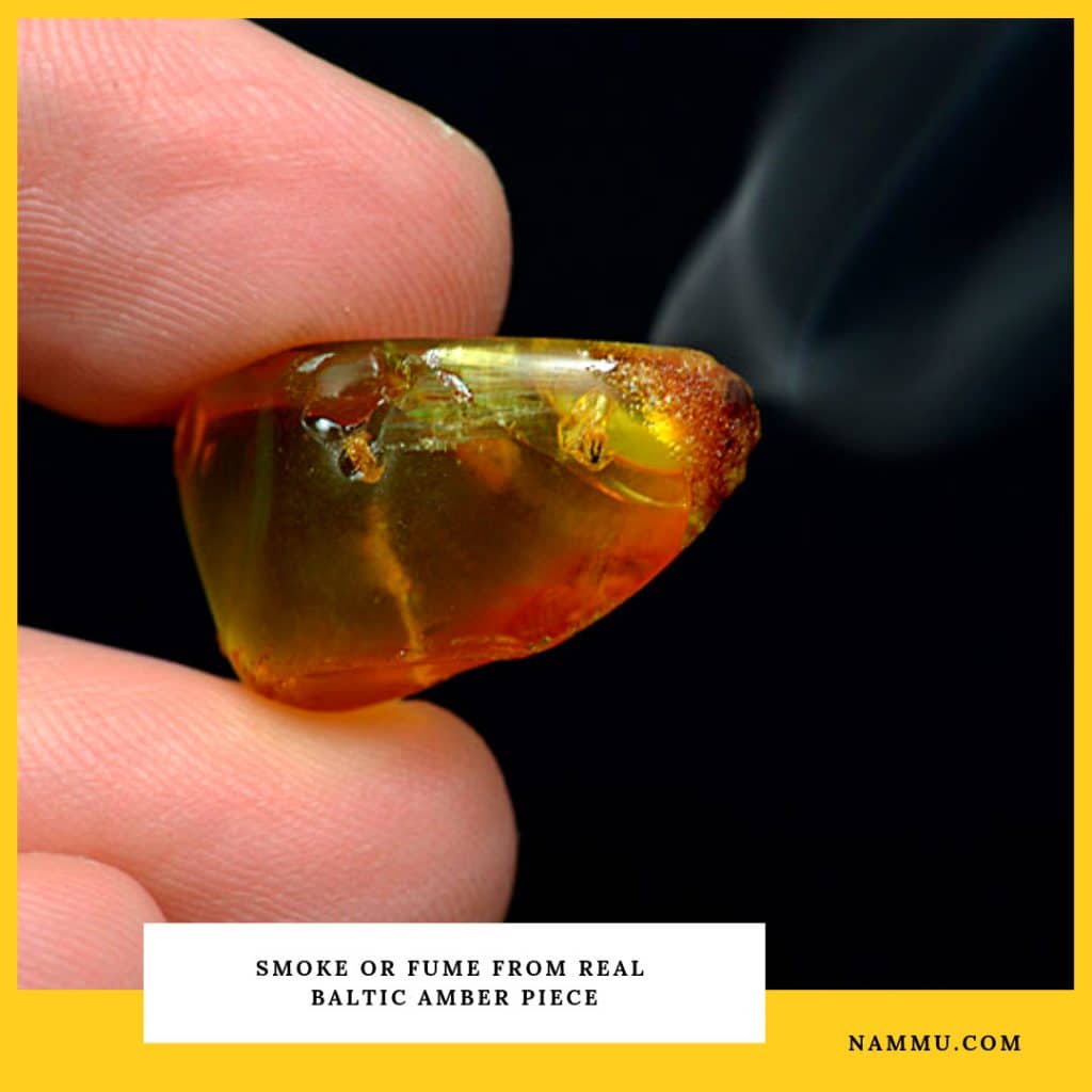 HAPPY GLOBE HUMANISTICS