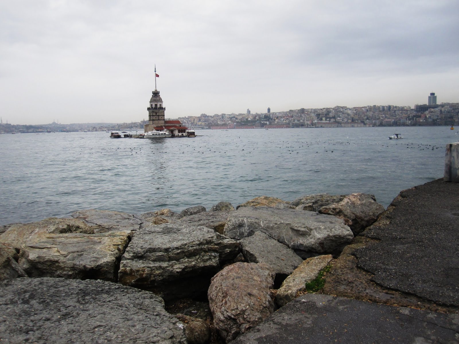 Photographed by Elif Sener