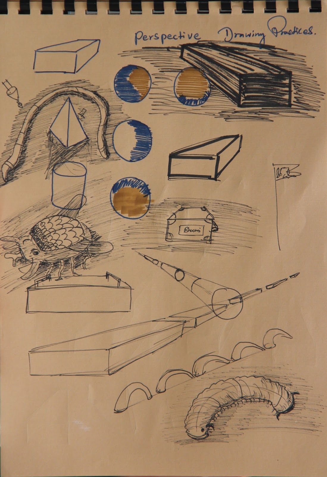week 2 Dyanamic sketch practices