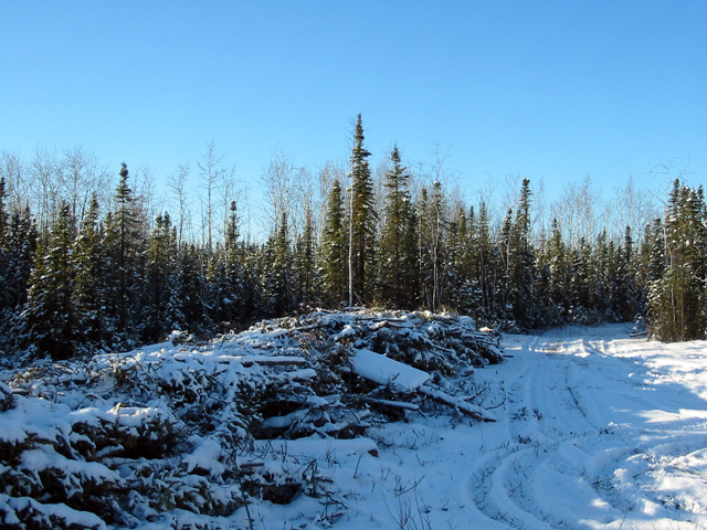 Off-Grid in Alaska: Early Winter Pics