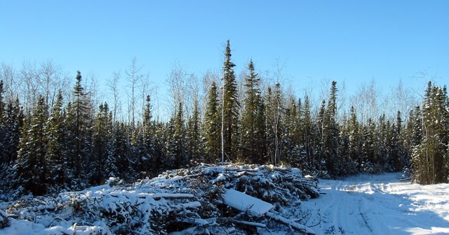 Off-Grid in Alaska: Early Winter Pics