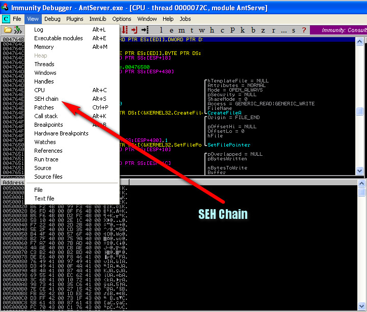 IS2C: Buffer Overflow - SEH - BigAnt Server