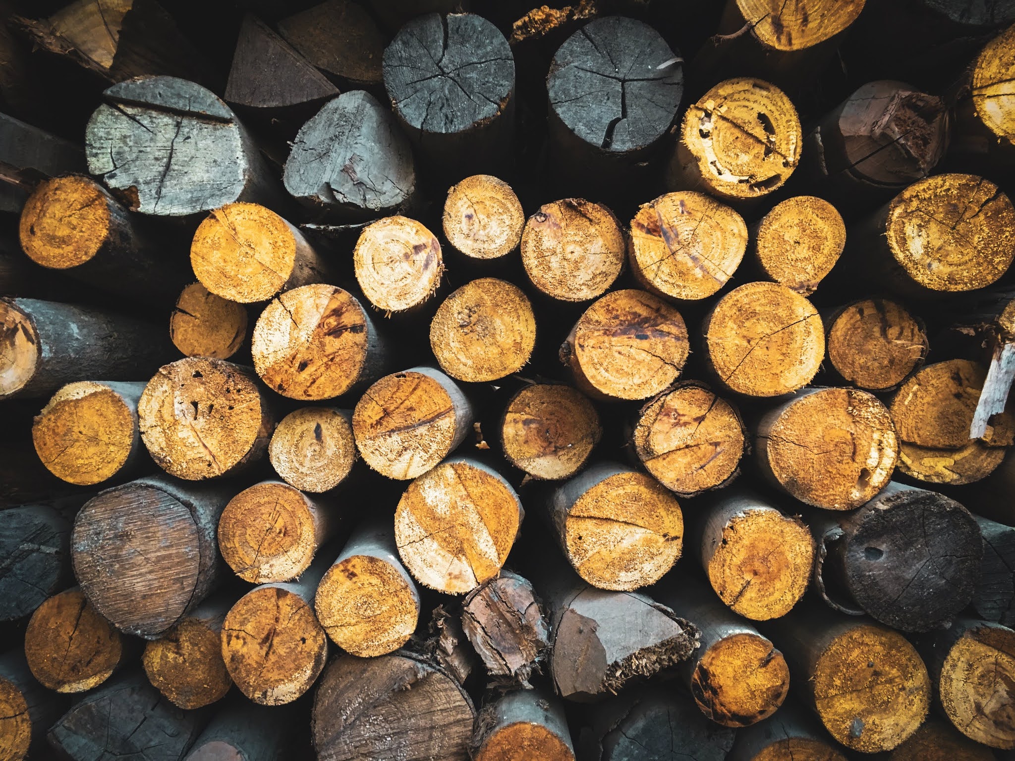 Sydney Firewood: Significance of Eco Hardwood