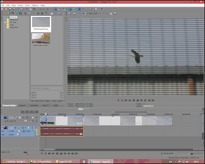 Creating A Production Company Logo ~ Shelley's A2 Advanced Portfolio