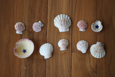 Playing House: DIY Sea Shell Matching and Memory Game