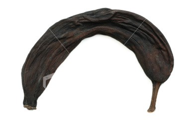 Poems To Eat Crackers With: The Oldest Banana