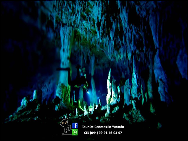 LOS CENOTES DE YUCATAN: EL FENOMENO DE LA HALOCLINA