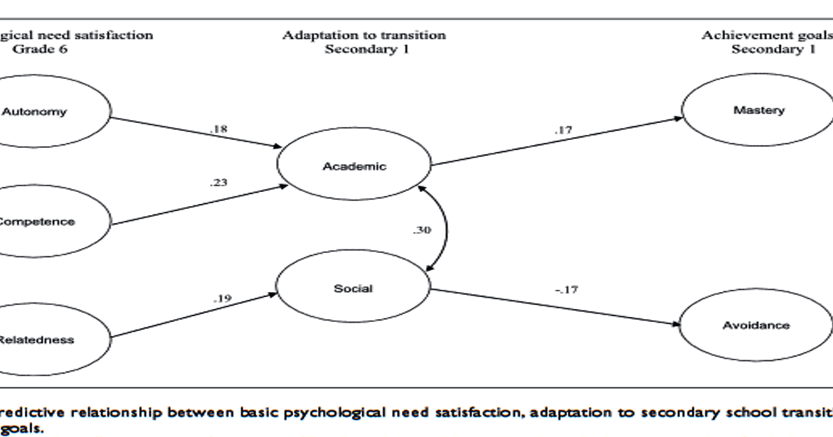 Satisfaction Of Basic Psychological Needs Predicts Choosing Mastery Goals