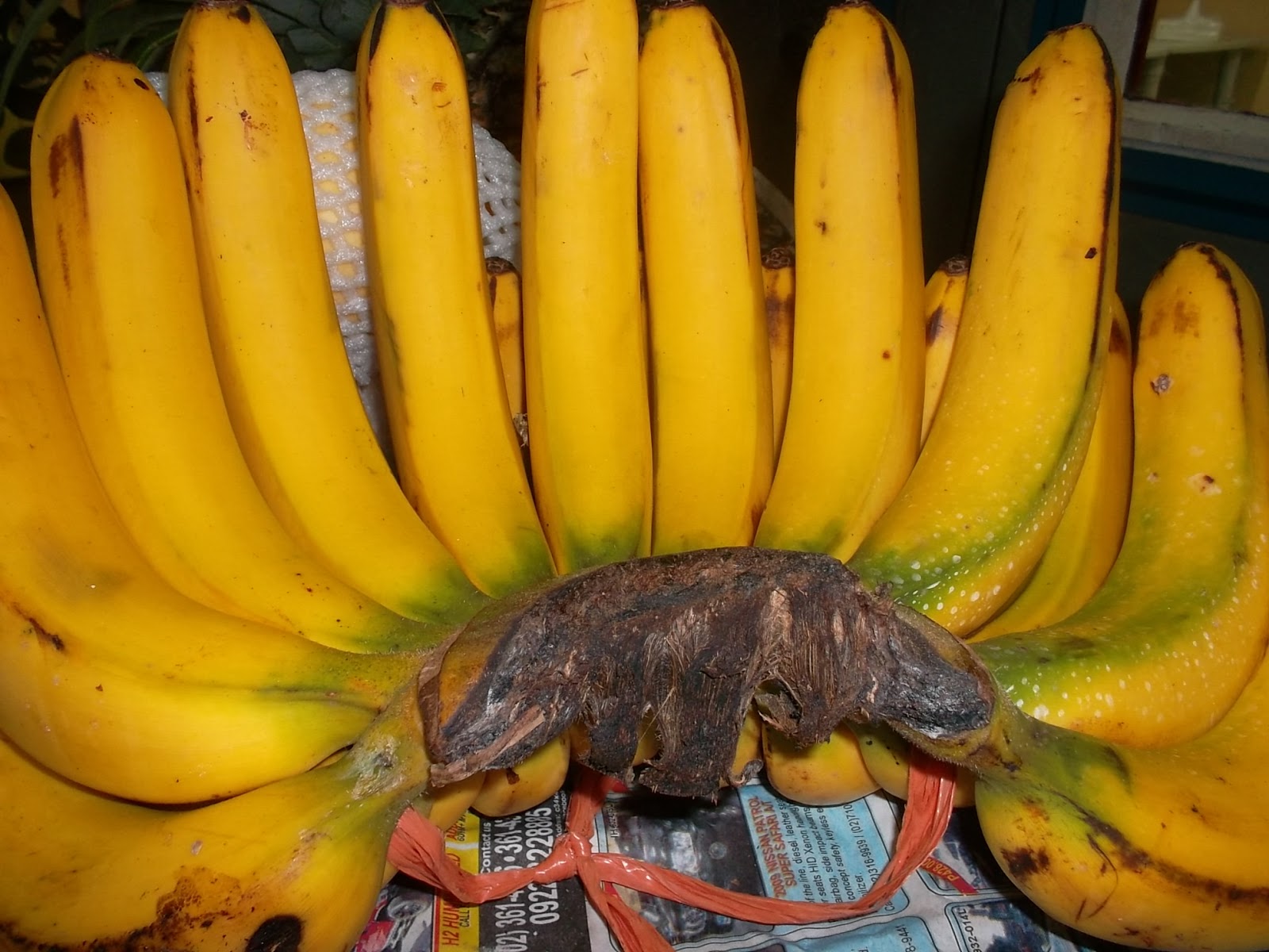 Konted's Make My Day 2: Dampa Sa Libis