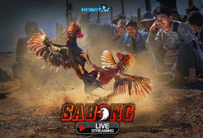 CARA DAFTAR ARENA SABONG - DAFTAR ARENA SABONG