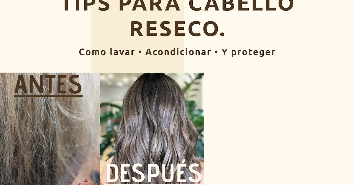 Tips para cabello reseco.
