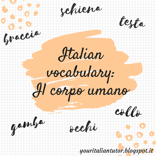 Your Italian Tutor: Italian vocabulary: Il corpo umano / The human body