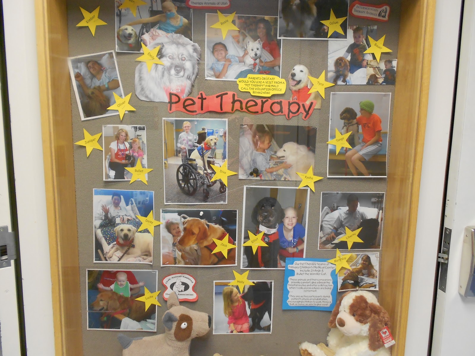 Living StrongeR: Pet Therapy