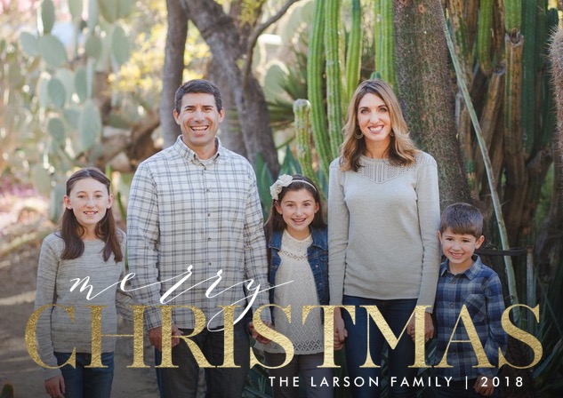 The Larson Lingo: 2018