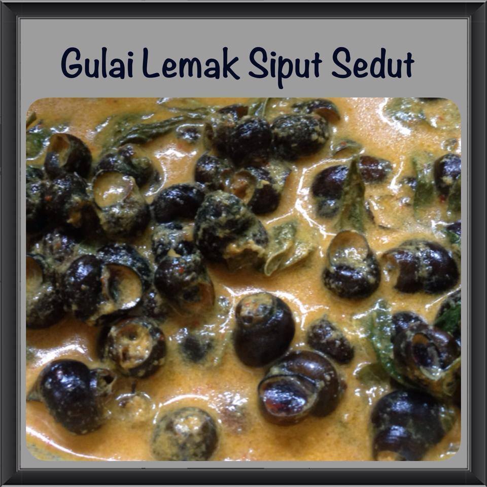 Resepi Gulai Lemak Siput Sedut