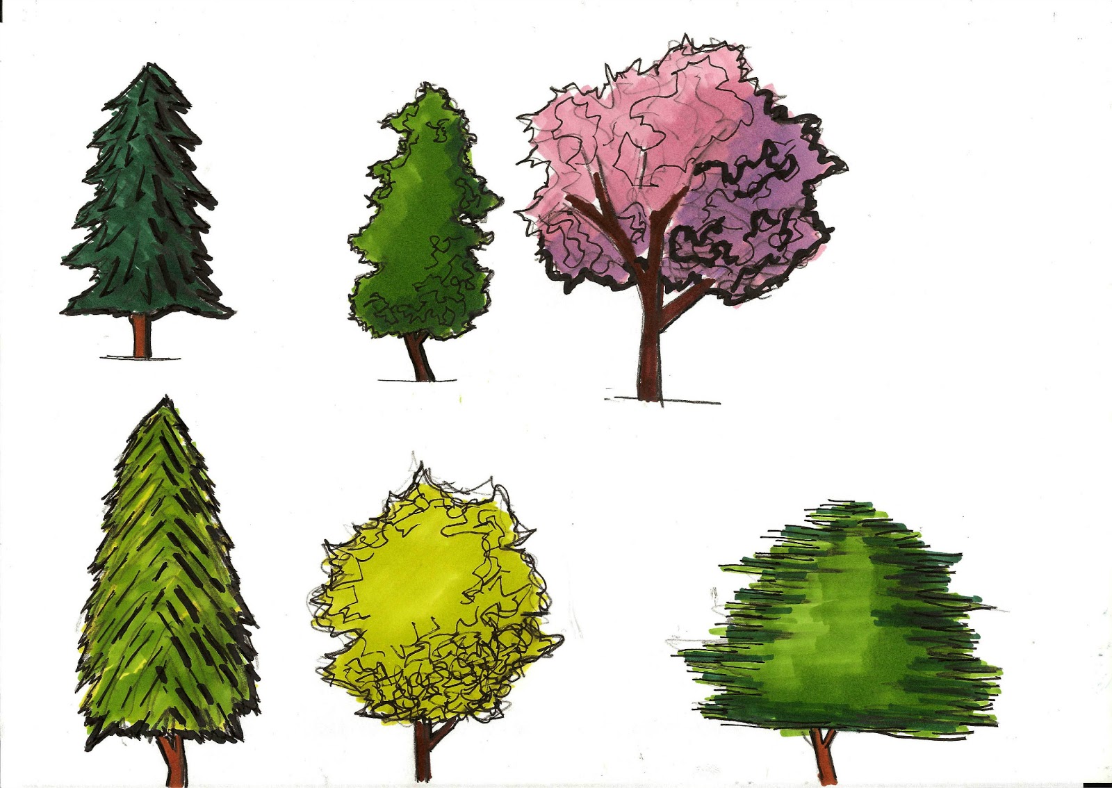 SAM DALY- Garden Design: Rendering Practise