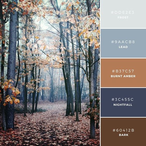 Dishfunctional Designs: My Favorite Autumn Color Palettes