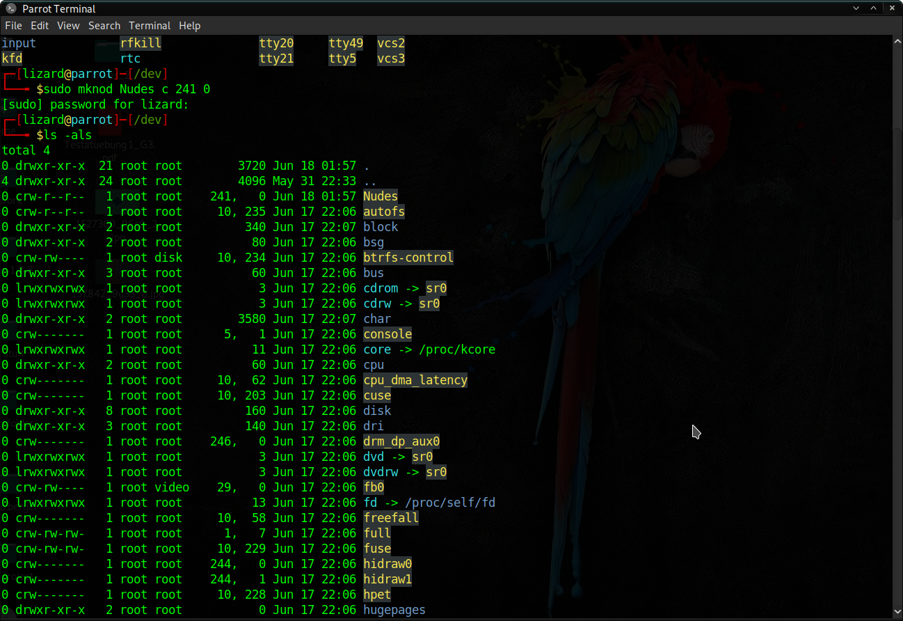 Writing A Kernel Driver