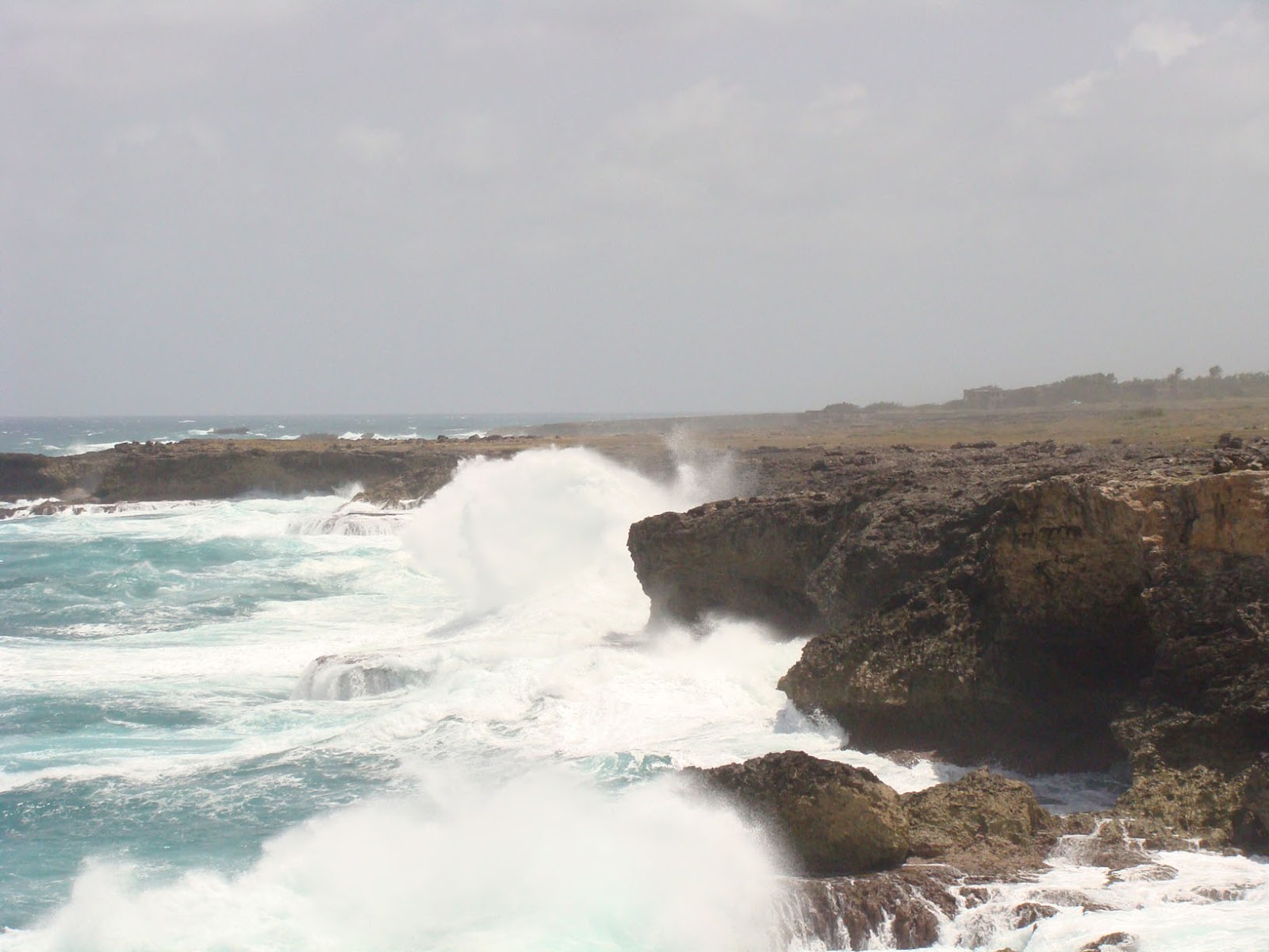 Running Routes: Barbados West Coast Running Route